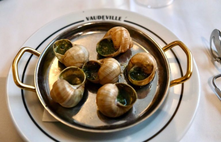 What is Escargot and Where Does It Come From?