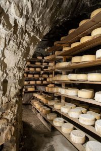 Cheese Production in France: Traditional Techniques and Regions